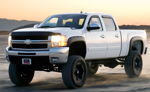 EGR Superguard Matte Black Bug Deflector - Free Shipping