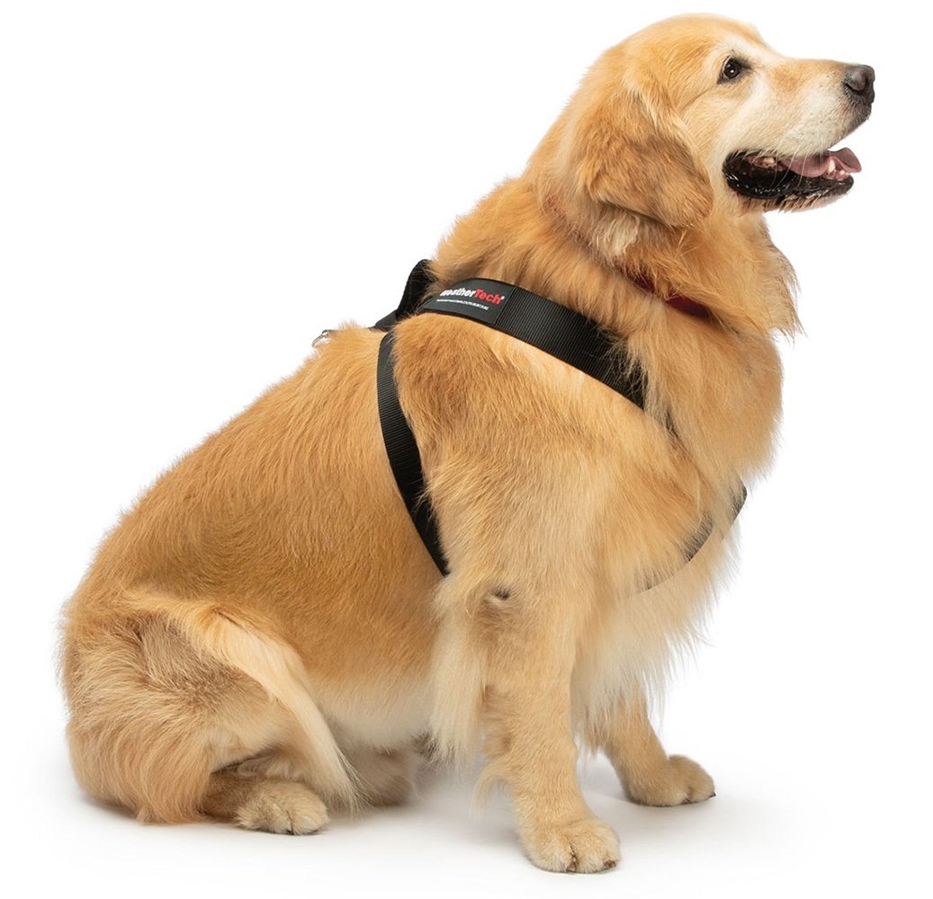 WeatherTech Pet Safety Harness - Read Reviews & FREE SHIPPING!