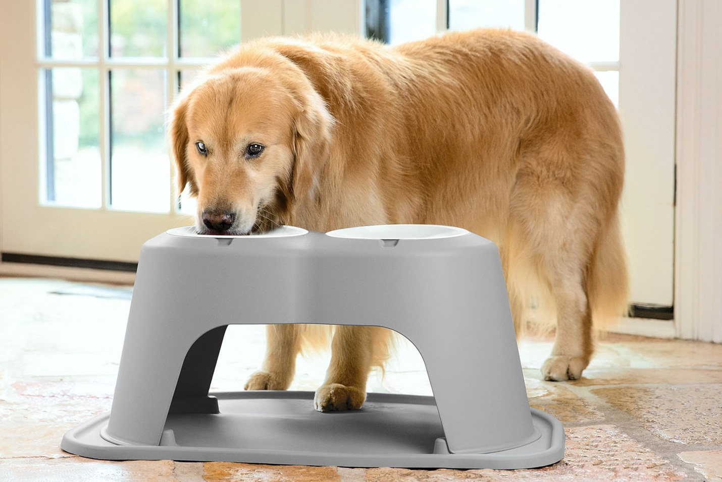 WeatherTech Pet Feeding System - Read Reviews & QUICK DELIVERY!