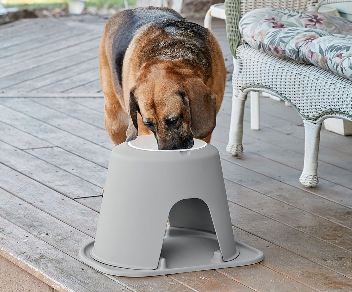 WeatherTech Pet Feeding System - Read Reviews & QUICK DELIVERY!