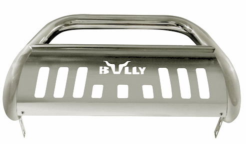 Bully Bull Bar, Free Shipping on Bully Stainless Steel Bull Bar